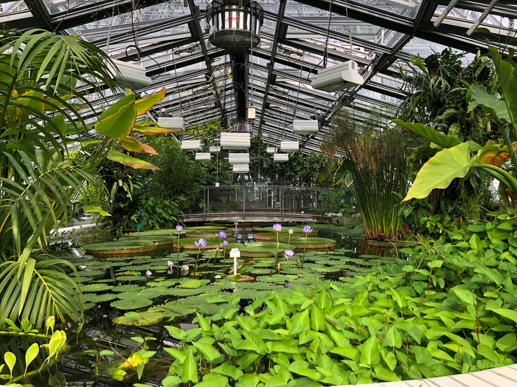 23 schöne Botanische Gärten in Deutschland (mit Gewächshäusern)