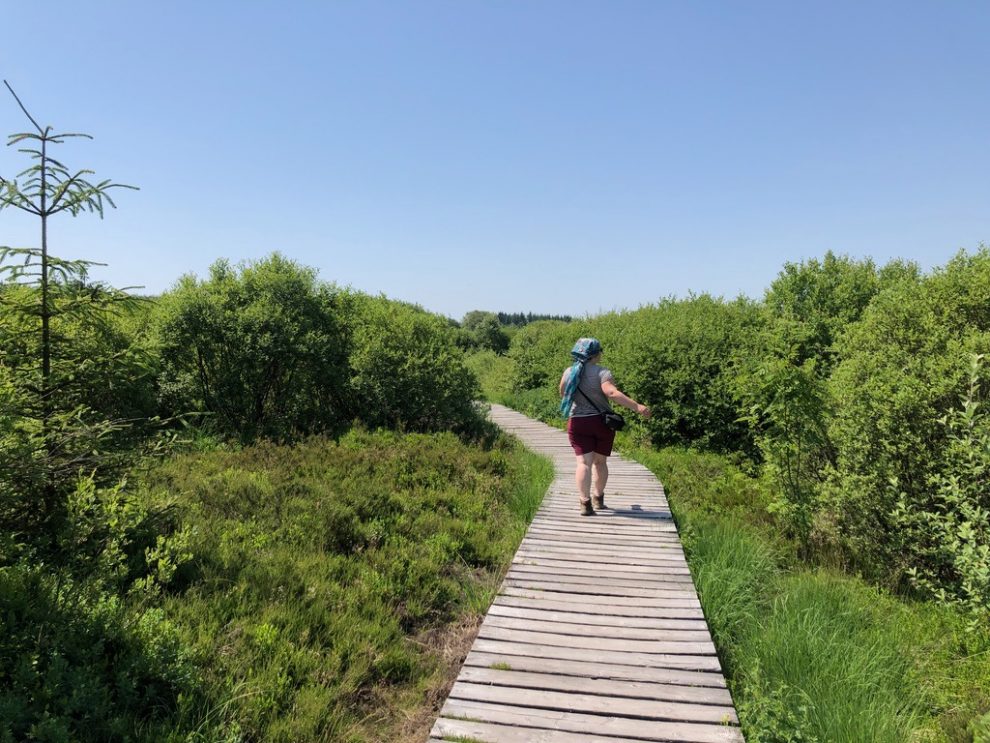 Wandern in Ostbelgien - Touren an Our und im Hohen Venn