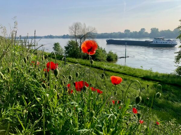 Warum das Rheinland die beste Outdoorregion Deutschlands ist!
