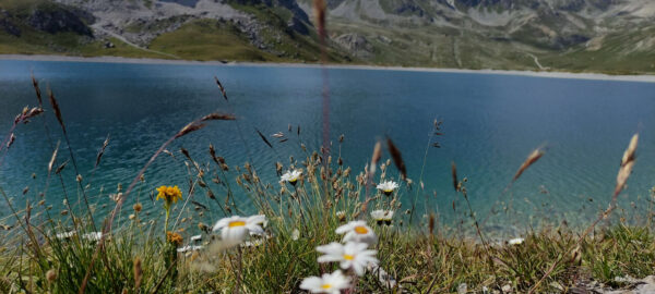 Engadin im Sommer - eine besondere Reise in die Berge