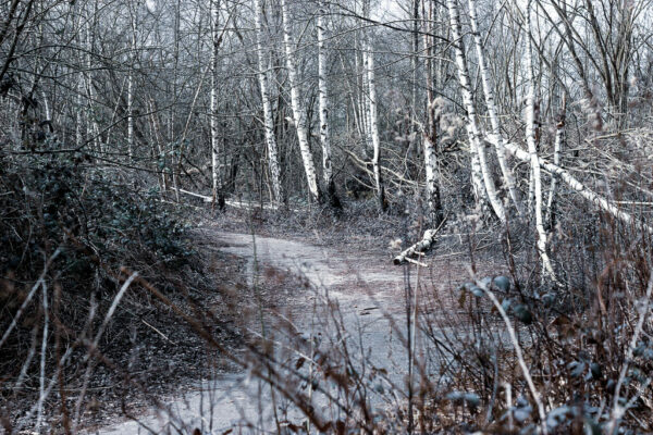 Der Almaring in Gelsenkirchen - Motorsport Lost Place im Ruhrgebiet