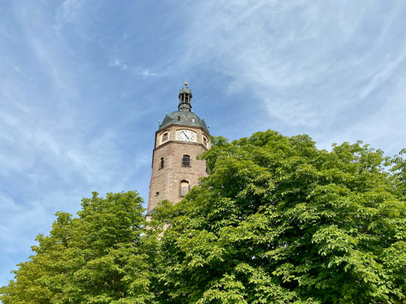 Ein Wochenende in Sangerhausen - Sehenswürdigkeiten in der Rosenstadt