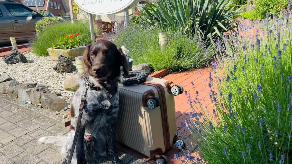Mit dem Segelboot ohne Segelschein über den Ärmelkanal
